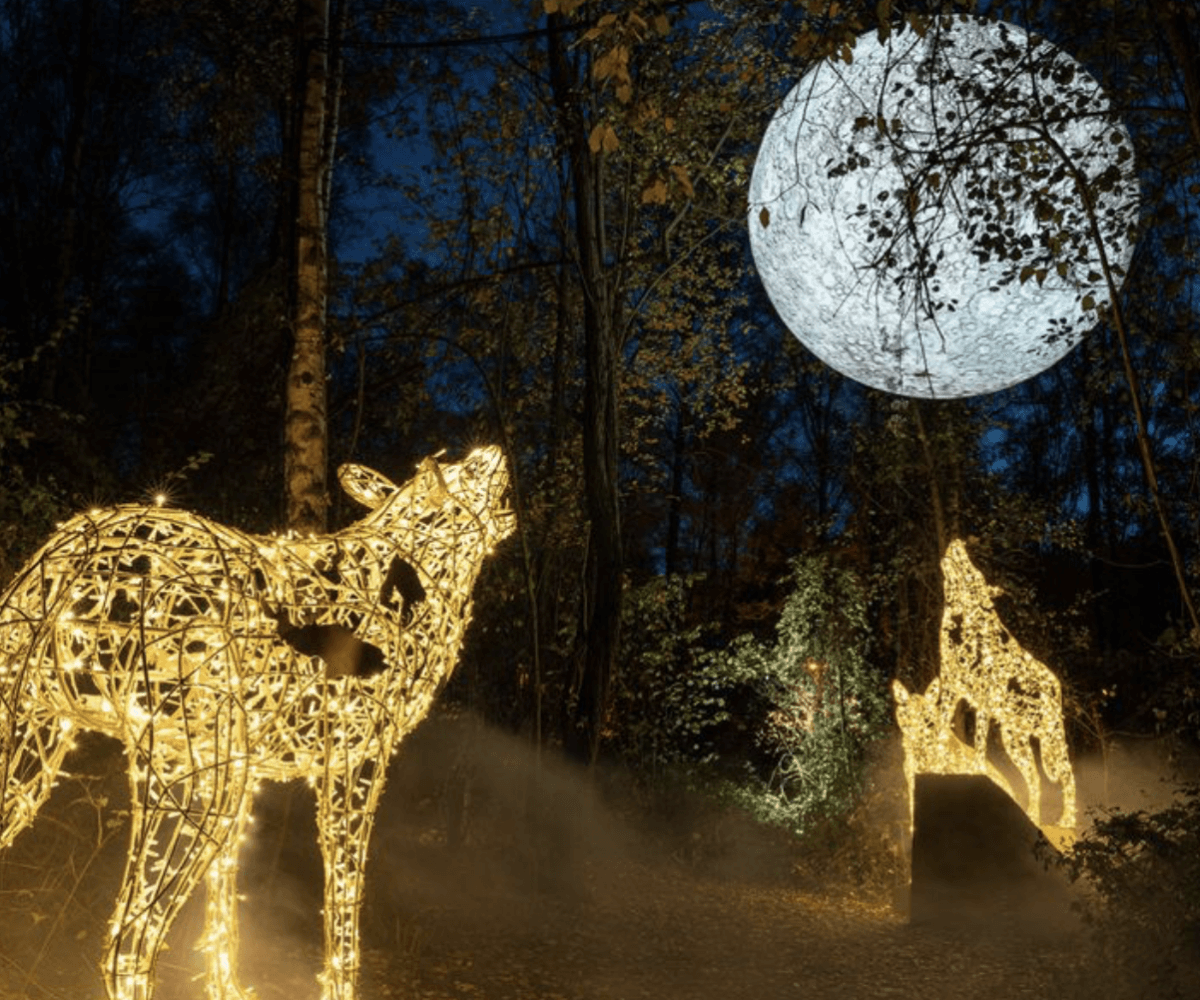 An example article | Chelsea Winter Village