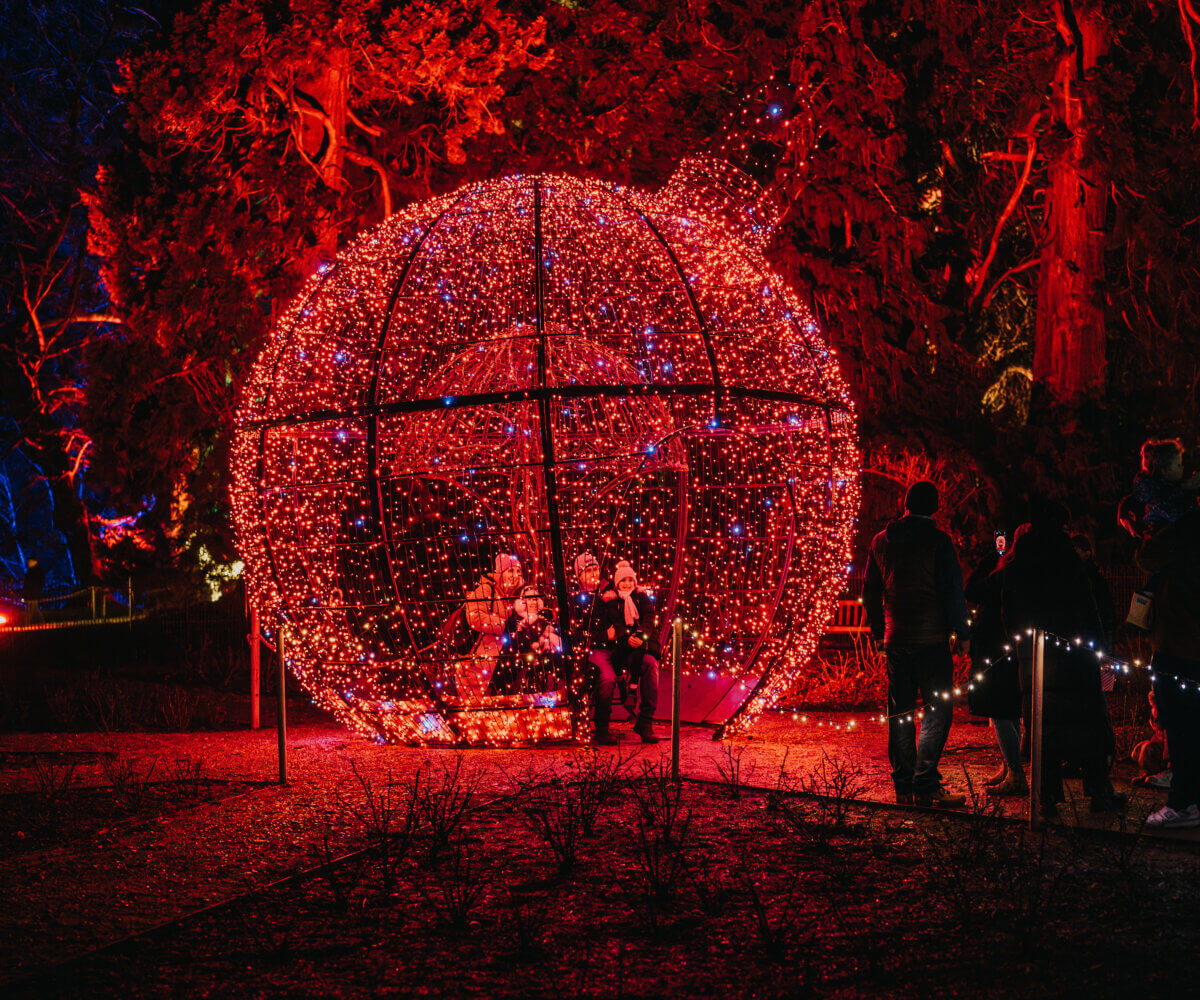 Chelsea Winter Village & Illuminations | Chelsea Winter Village